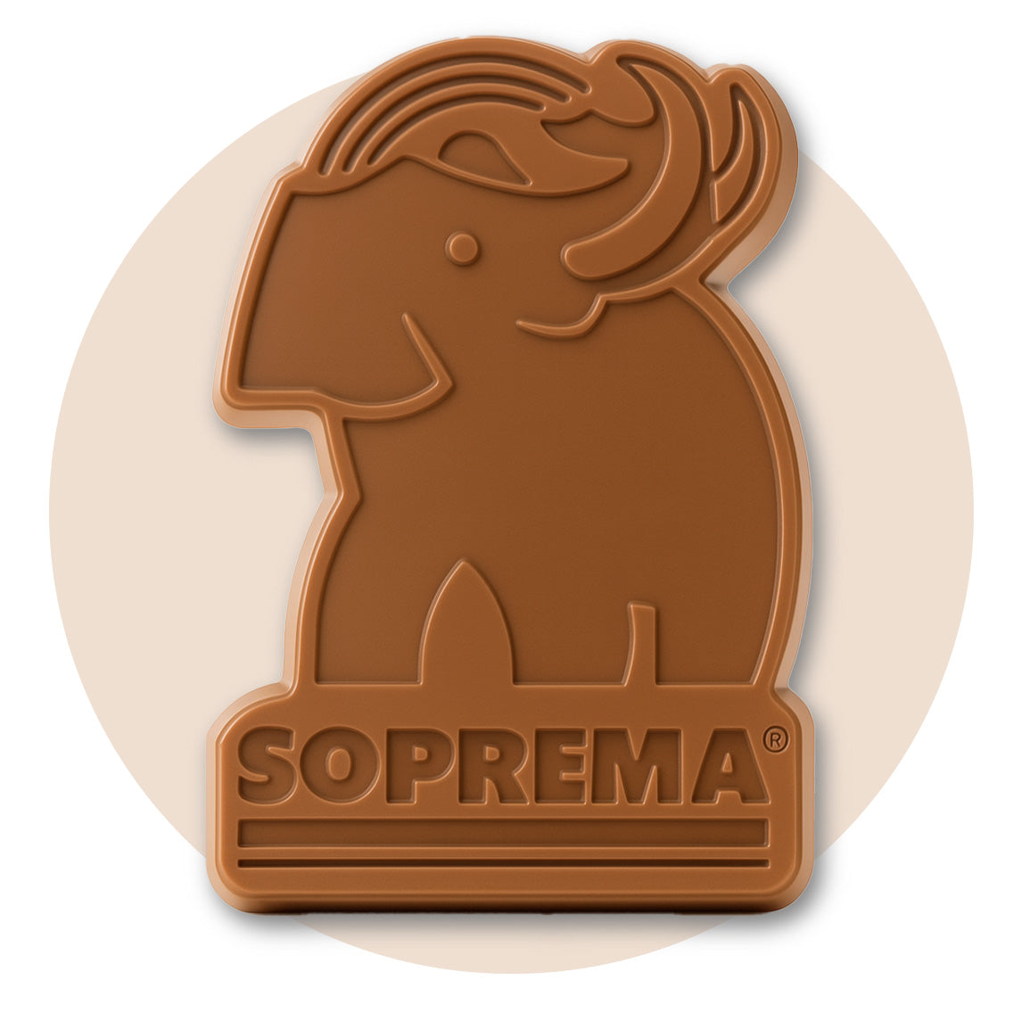Custom Chocolate Shapes - Turn Your Logo into Chocolate